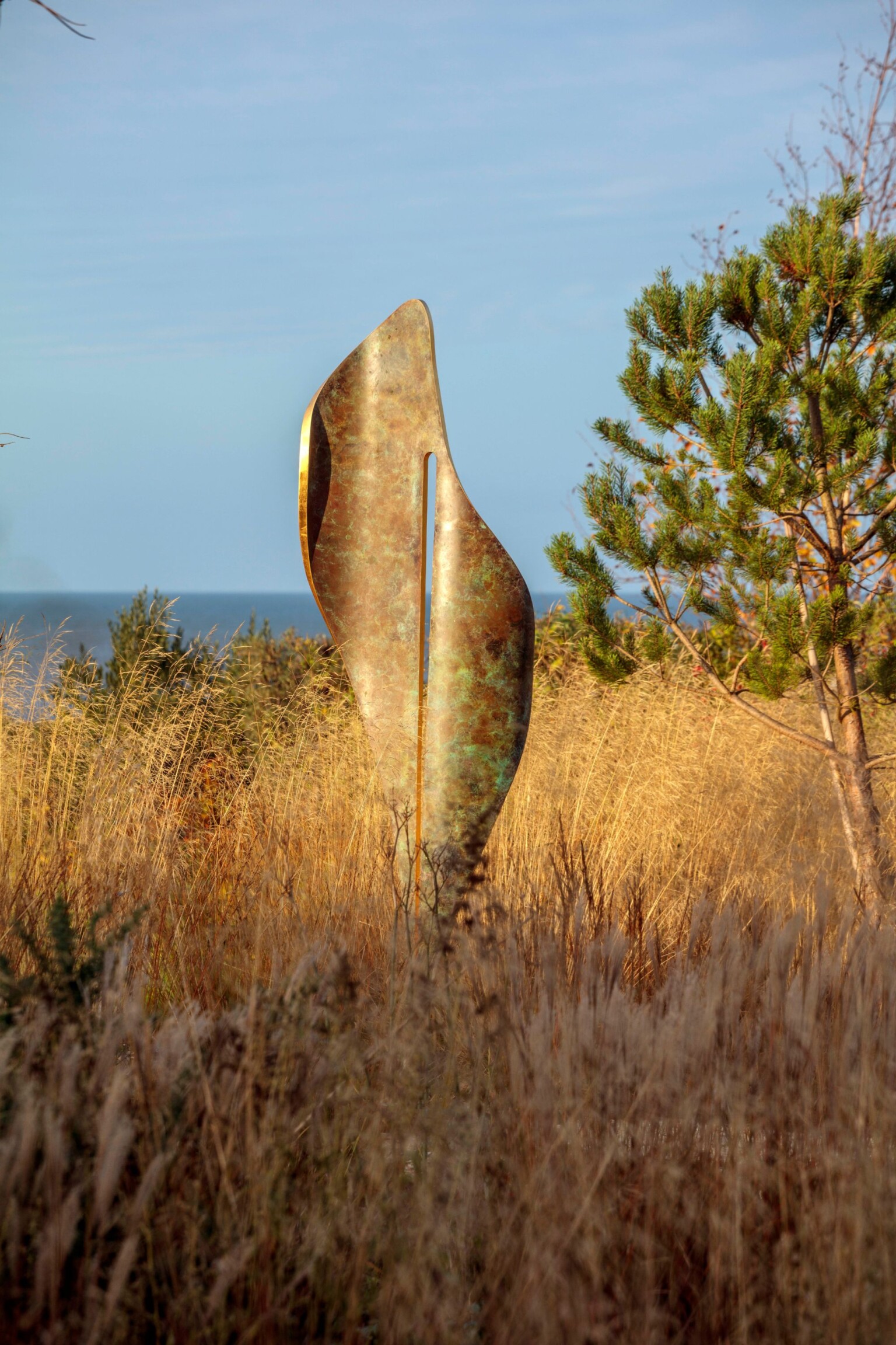 FLO, Nature Inspire Sculpture - David Harber UK