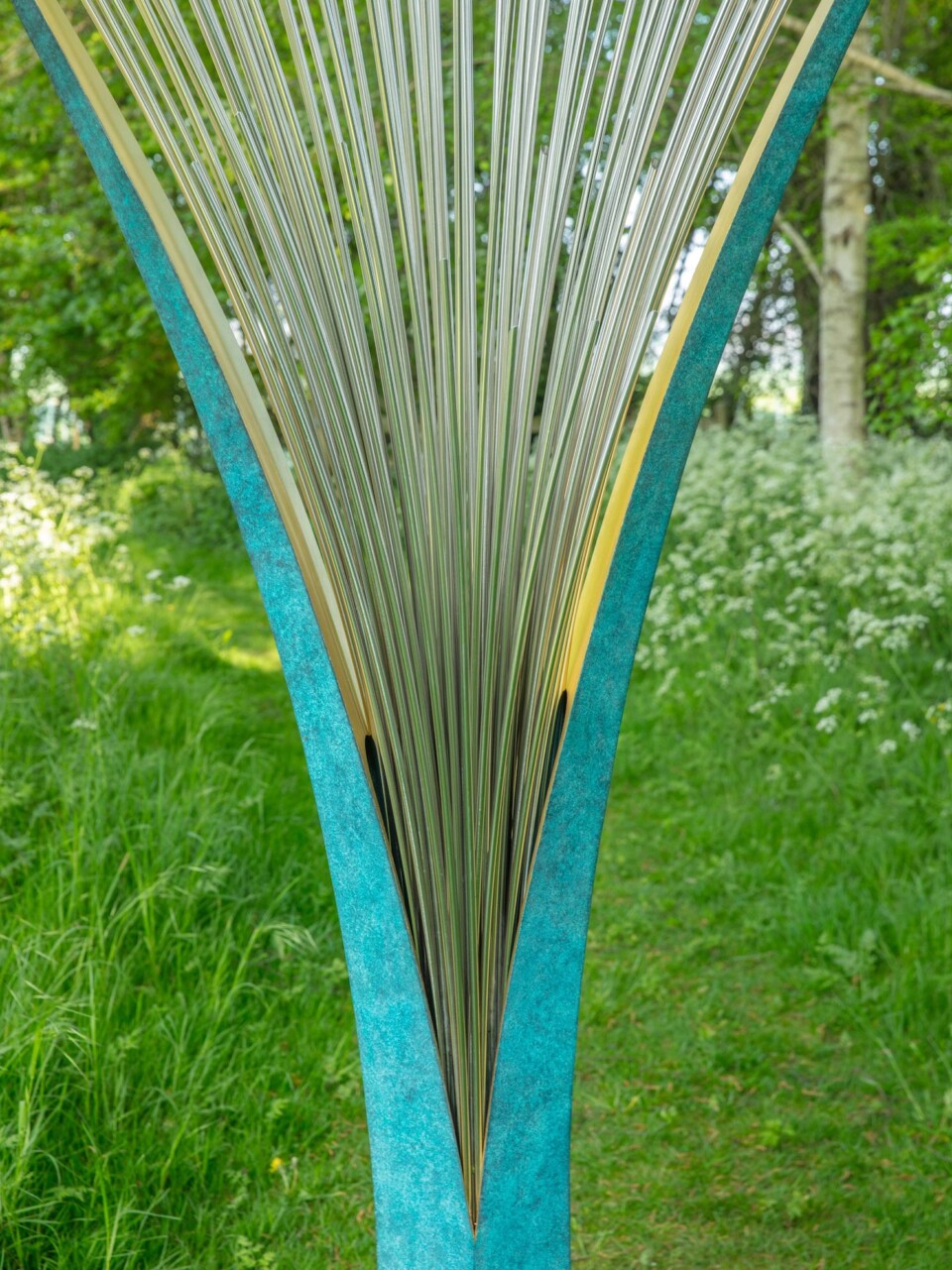 Rush - David Harber UK