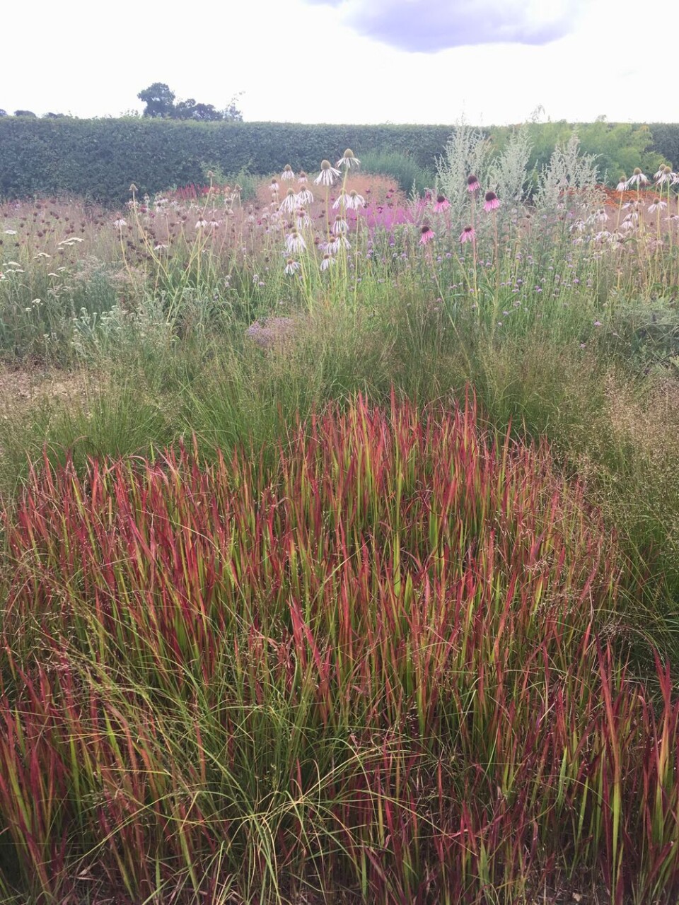 A Wild Approach To Landscape Design: A Quick Guide To Naturalistic ...